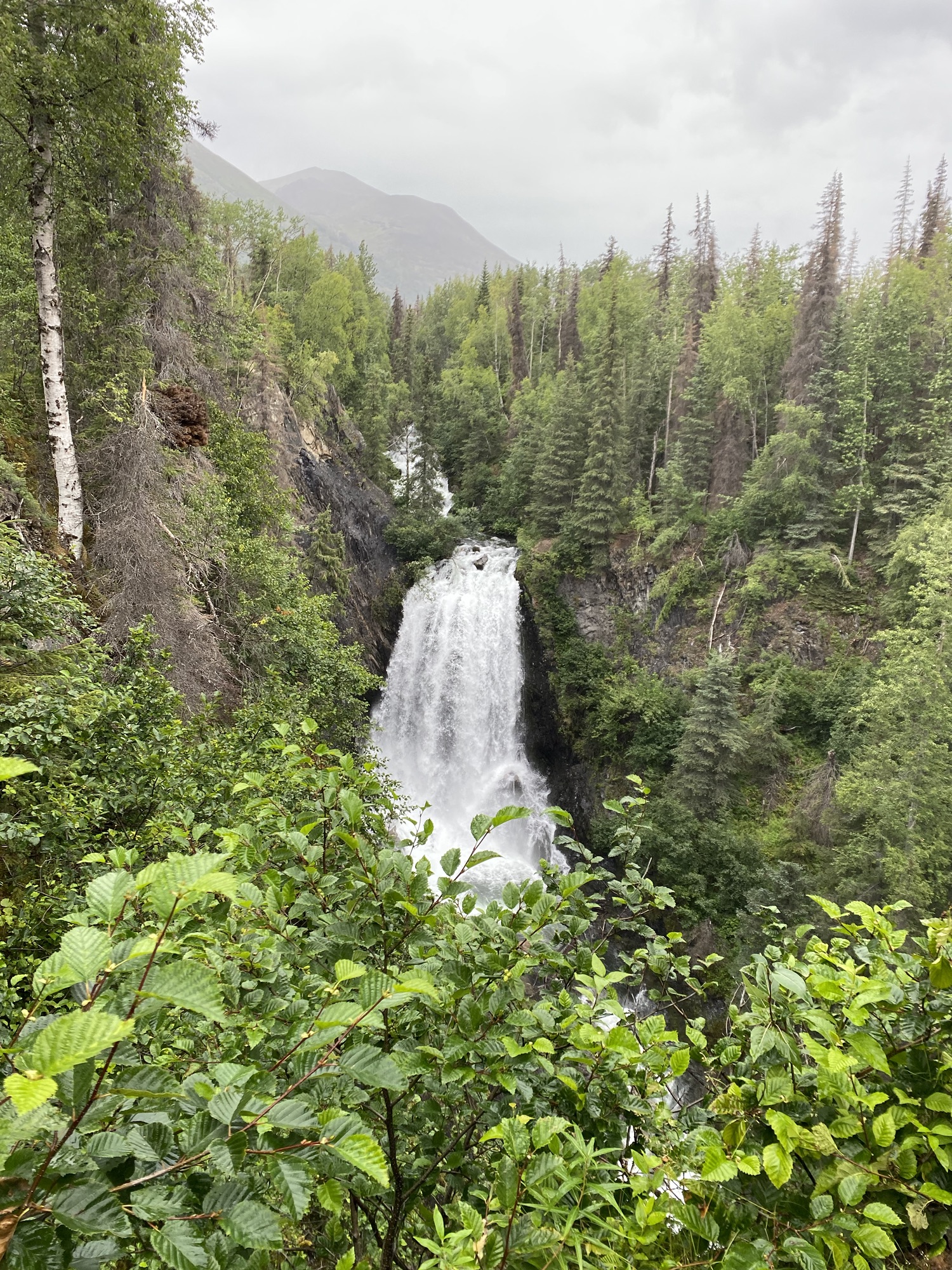 Emotional Cascade – Joyful Chaos